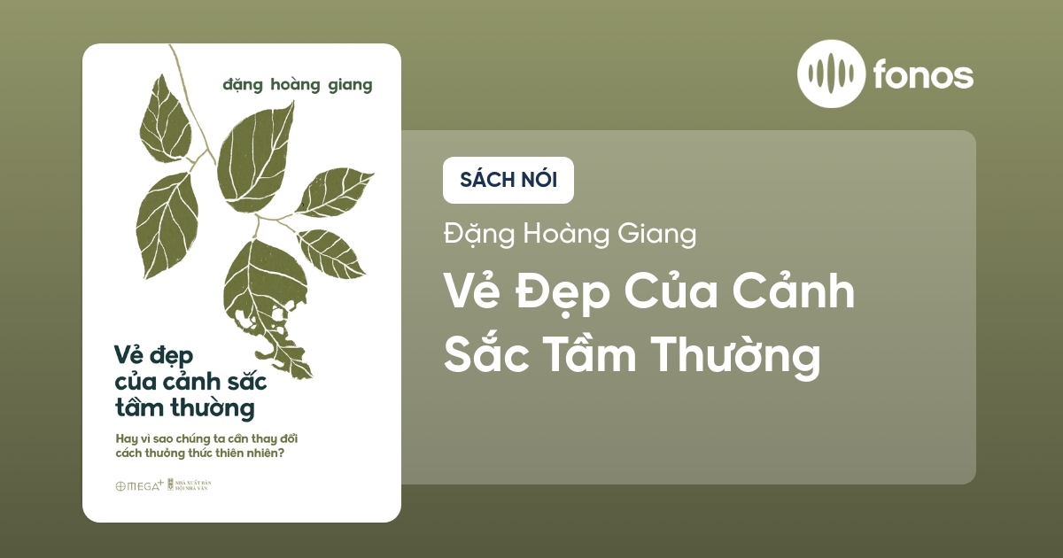 Vẻ Đẹp Của Cảnh Sắc Tầm Thường | Fonos